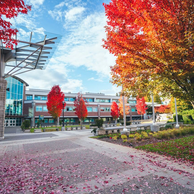 Explore Douglas | Douglas College